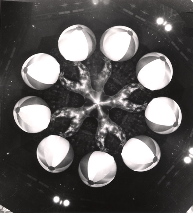 (Circus Seal Act) | International Center of Photography