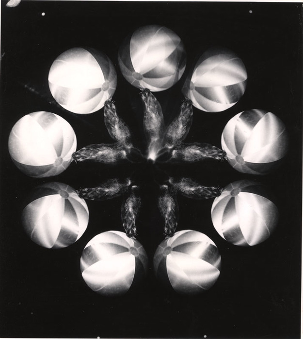 (Circus Seal Act) | International Center of Photography