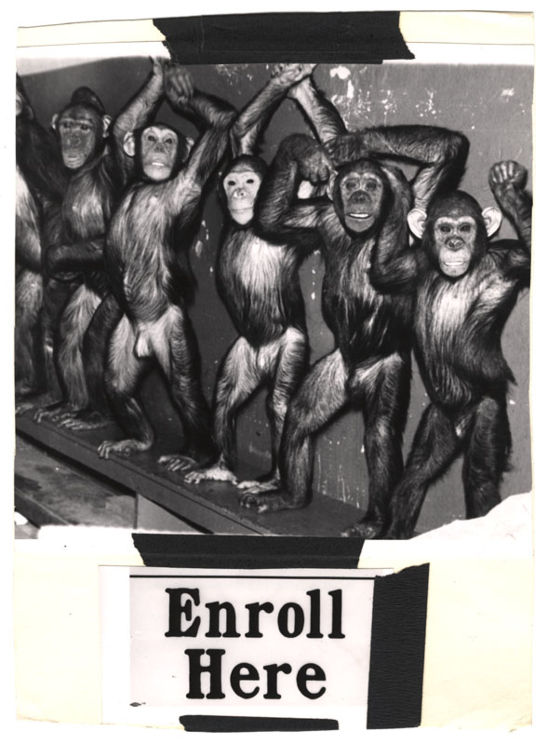 Circus chimpanzees standing backstage | International Center of Photography