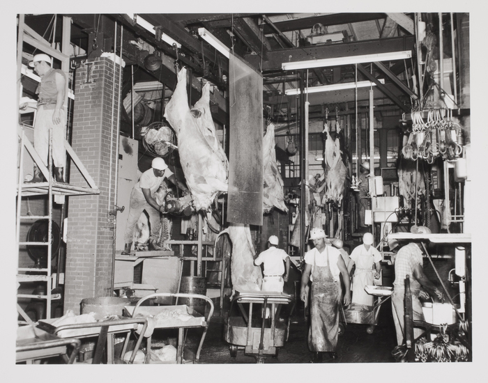 [Slaughterhouse] | 1International Center of Photography