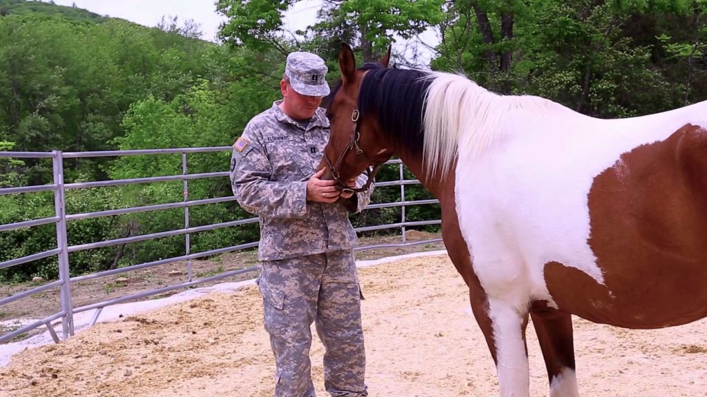 3 Unusual Veteran Therapy Programs That Totally Workthe Sitrep Military