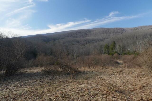 Ceres, Virginia TBD Poor Valley Road, Ceres, VA - Land For Sale