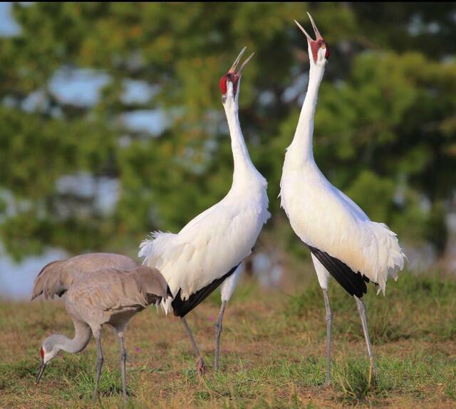 Rockport Featured Properties - Eling Real Estate