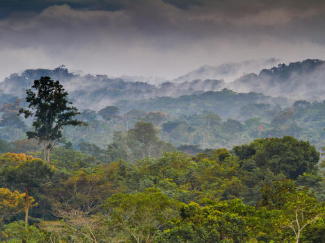 Equatorial Guinea Travel Guide