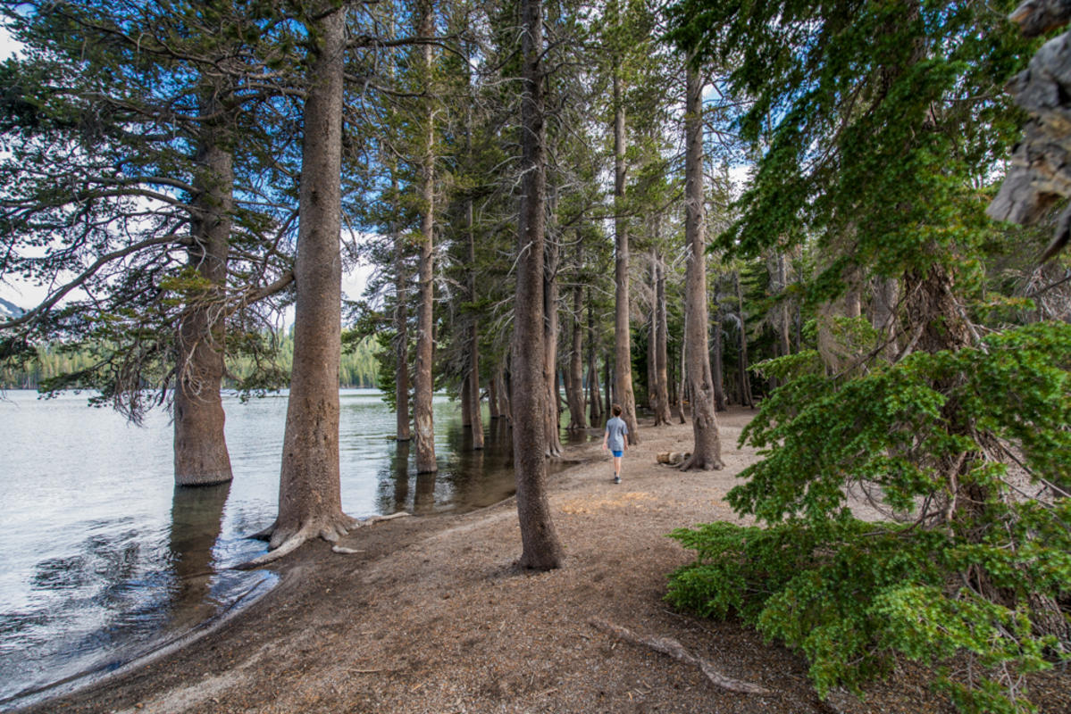 Six Kid-Friendly Summer Adventures to Try in Mammoth Lakes