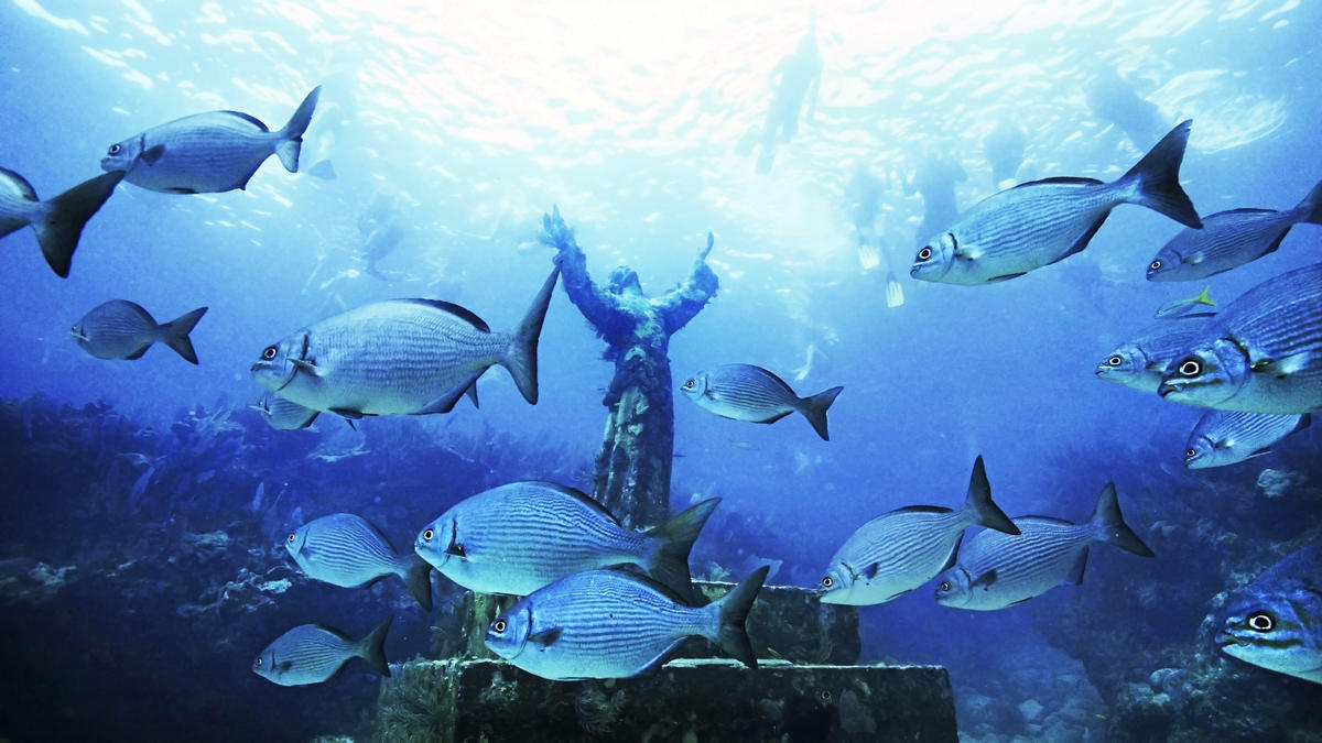 5 Must-Visit Snorkeling and Diving Spots in Florida