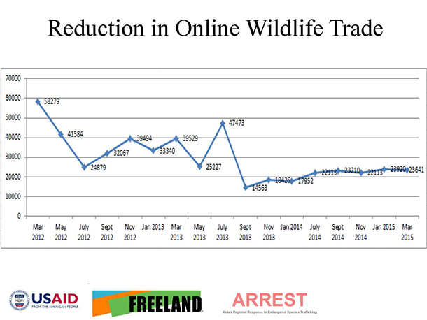 Chinese internet giant joins fight against wildlife crime on World ...