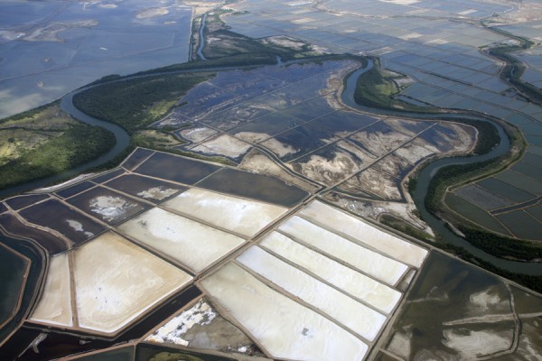 De onde vem o sal? - iGUi Ecologia