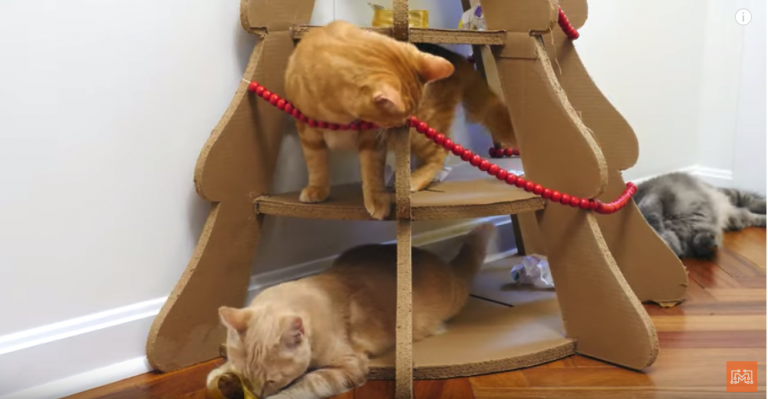 How to Make a Christmas Tree for Cats! - I Like To Make Stuff