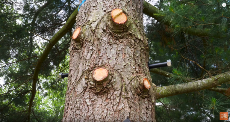 How to Make a Tree House Part 1 - I Like To Make Stuff