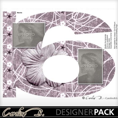 Digital Scrapbooking Kits | Album Page 8x11 Number 6-(carolnb ...