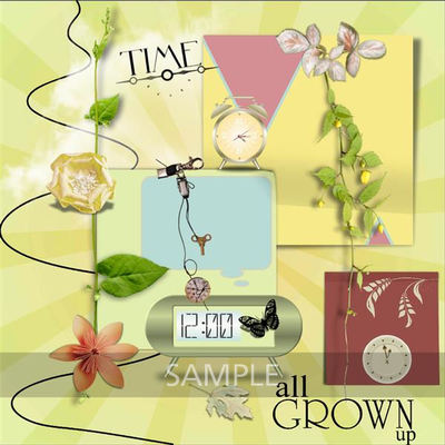 Digital Scrapbooking Kits | Time Flies Journal Cards-(HSA) | Decorative ...