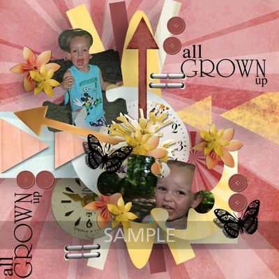 Digital Scrapbooking Kits | Time Flies kit-(HSA) | Decorative, Everyday ...