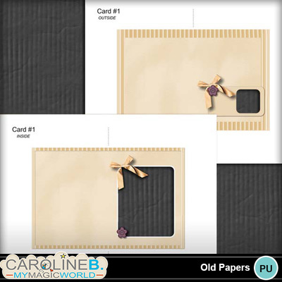 Digital Scrapbooking Kits | Old Paper Card 1 QP-(carolnb) | Family ...