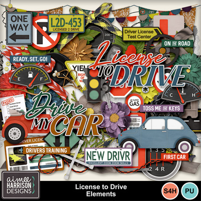 Digital Scrapbooking Kits | License Drive Page Kit-(aimeeh ...
