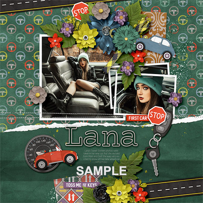 Digital Scrapbooking Kits | License Drive Page Kit-(aimeeh ...