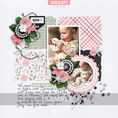 Digital Scrapbooking Kits | This Month January KIT-(TwinMom ...