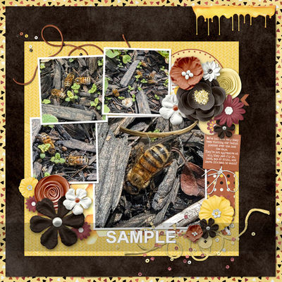 Digital Scrapbooking Kits | The Bee's Knees KIT-(TwinMom) | Decorative ...