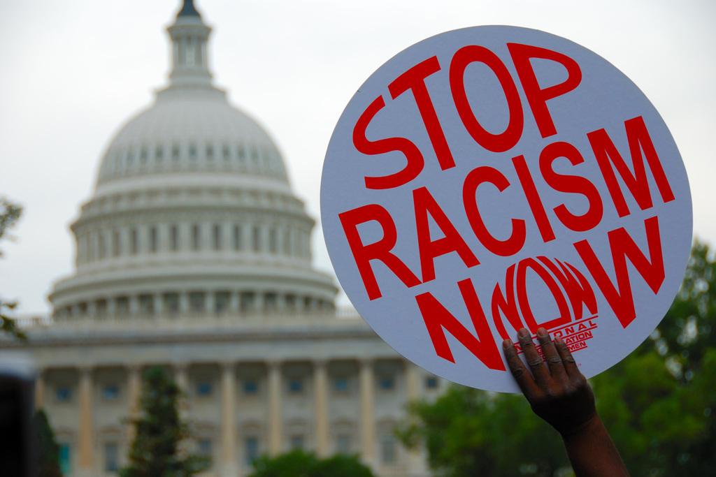 Stop Racism Now Protest Sign US Capitol Photo Art Print Poster 24x36 ...
