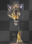Scary Wolf Picture #83788329 | Blingee.com