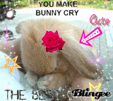 you make bunny cry Bilder [S. 1 von 1] | Blingee.com