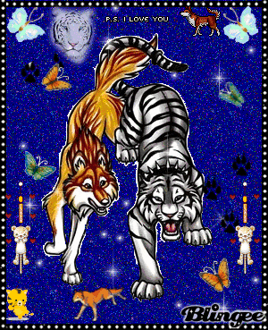 Wolf Vs Tiger Wallpaper