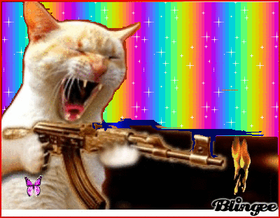 cat with gun Picture #111617693 | Blingee.com