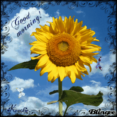Sunflower Animated Pictures for Sharing #122191871 | Blingee.com