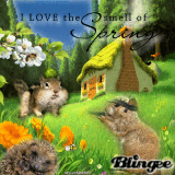 funny spring animals Pictures [p. 1 of 1] | Blingee.com