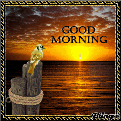 Good Morning Moving Pictures