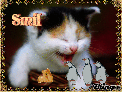 Smiling Cat Gif