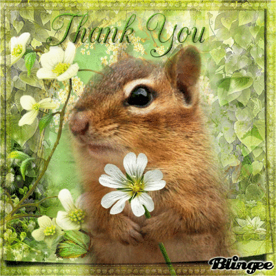 Thank you squirrel Picture #136035927 | Blingee.com