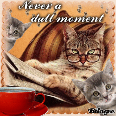 Never a dull moment (with these two) Picture #137060978 | Blingee.com