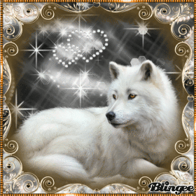 WHITE WOLF Animated Pictures for Sharing #137448806 | Blingee.com
