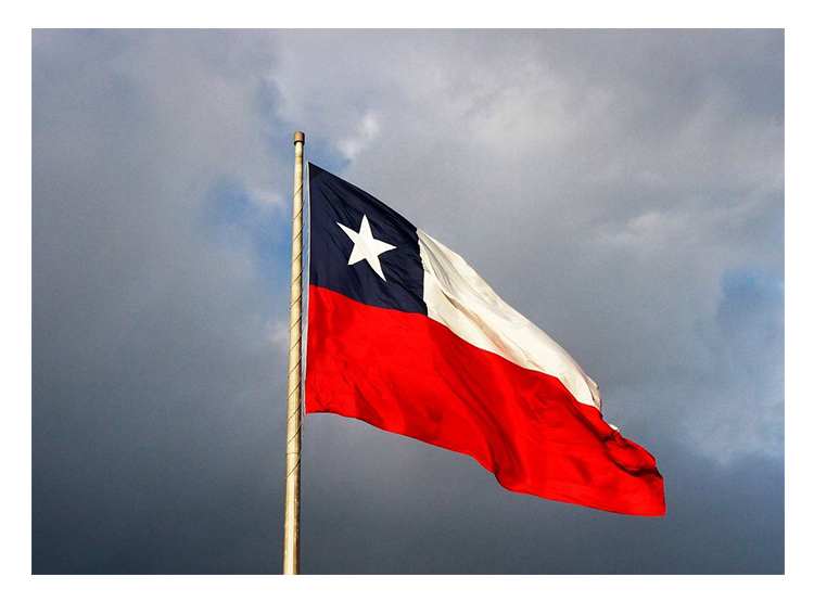 Ripley - BANDERA CHILENA TELA 200 X 300