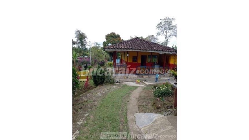 Finca en venta, Manizales. Ref #7697408