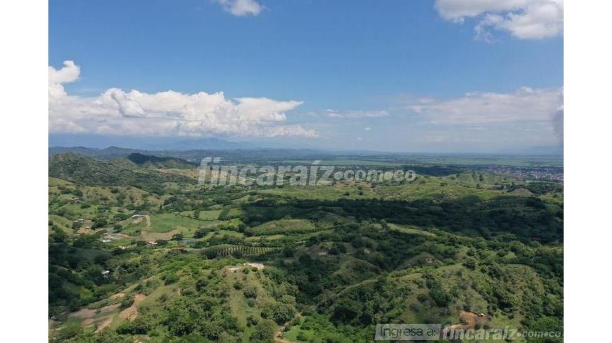 Lote en Venta - Guasimal - Zarzal - Valle del Cauca | Código: 7704177