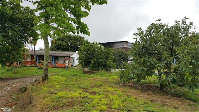 Finca en Venta - El Lembo - Santa Rosa de Cabal - Risaralda | Código ...