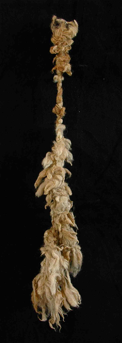 Louise Glass | Foundwork