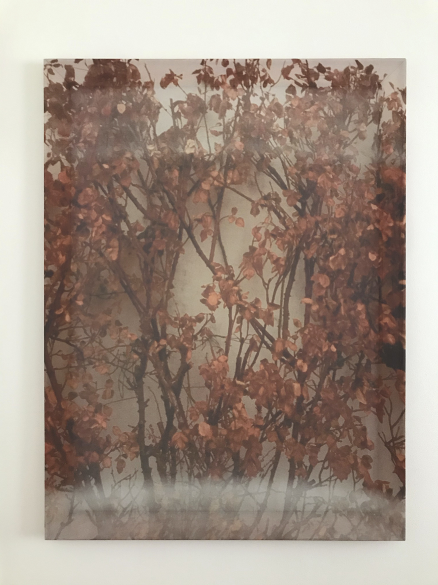 Alessandro Moroder | Foundwork