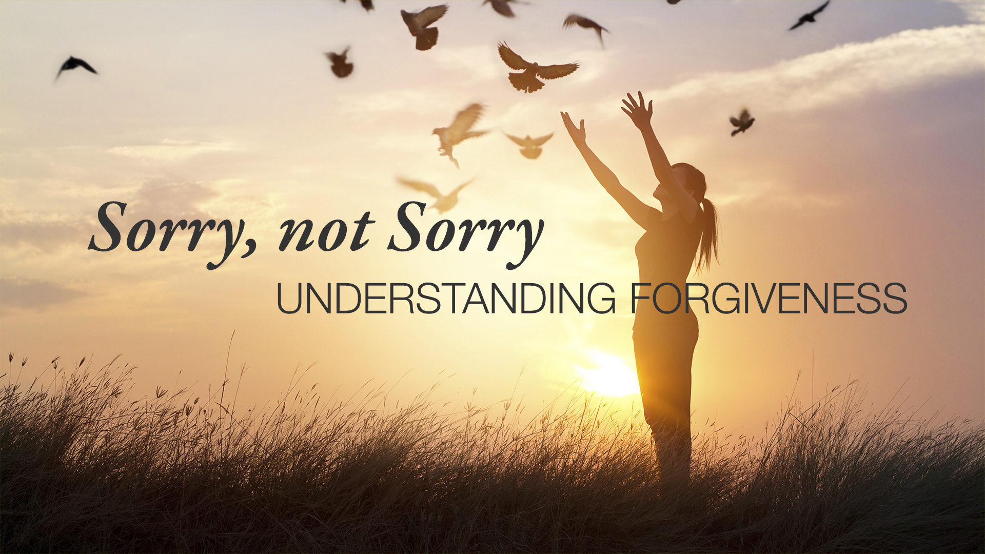 Sorry, Not Sorry: Understanding Forgiveness