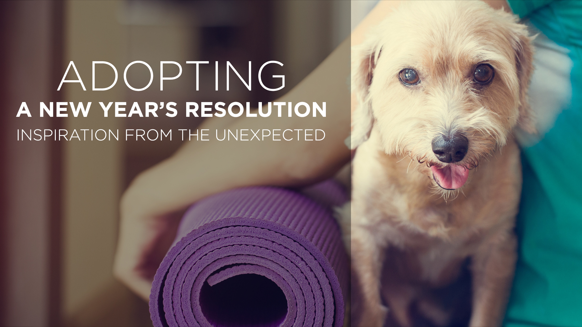 Adopting a New Year’s Resolution: Inspiration From the Unexpected