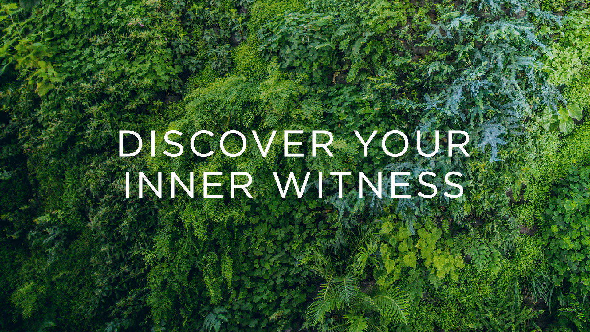 Meditation: Discover Your Inner Witness