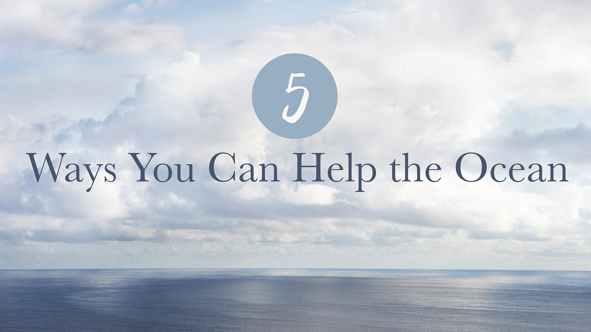 5 Ways You Can Help the Ocean | Yoga International