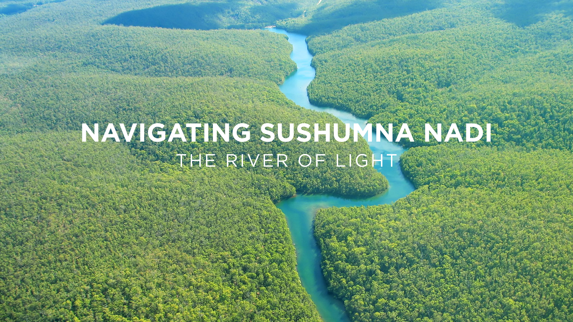 Navigating Sushumna Nadi, The River of Light