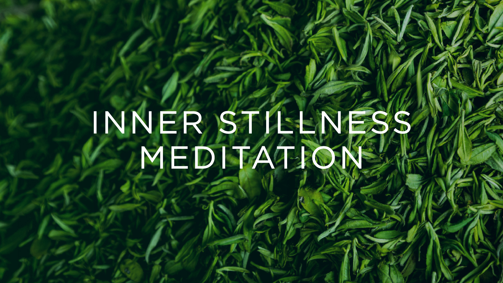 Inner Stillness Meditation | Yoga International