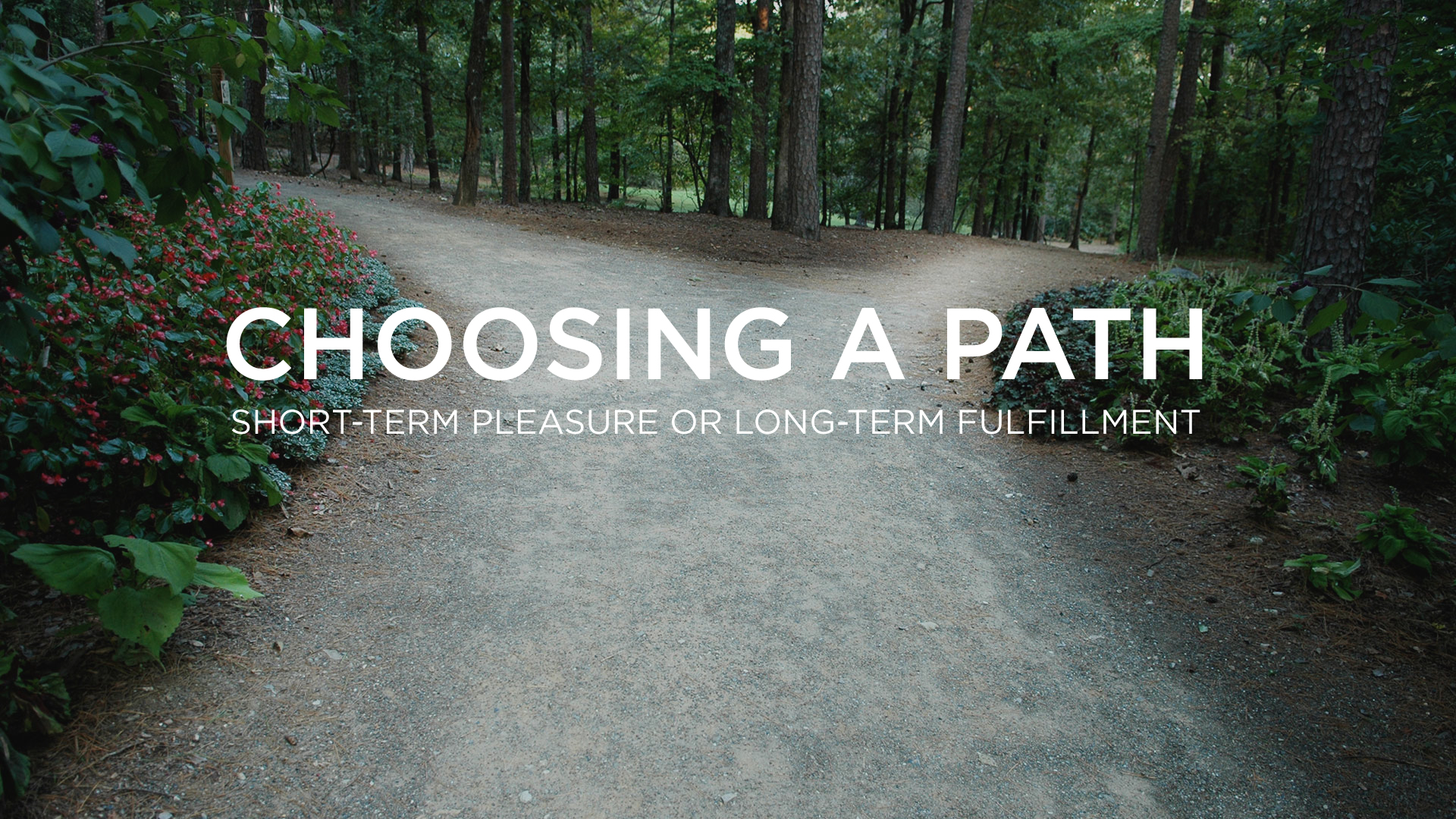 Choosing a Path: Short-Term Pleasure or Long-Term Fulfillment