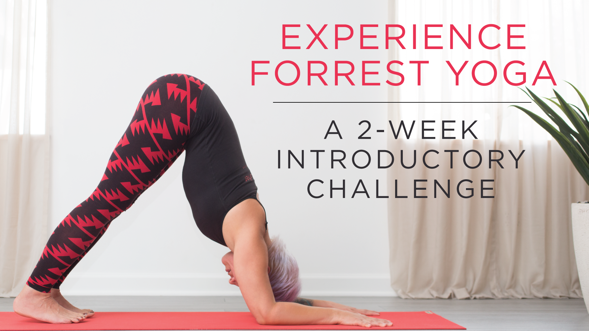 Experience Forrest Yoga Challenge | Yoga International