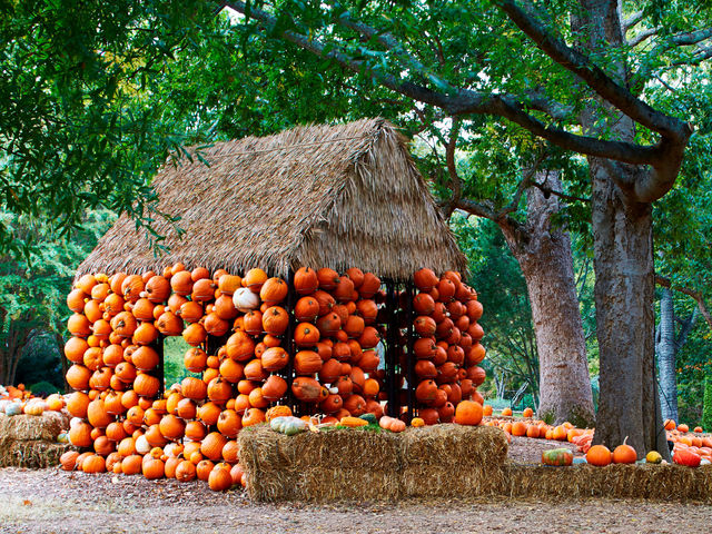 Home - Wannado Nashville