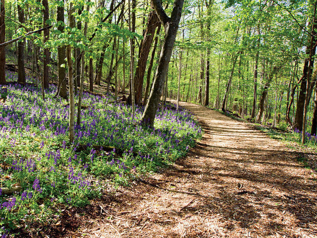 Home - Wannado Nashville